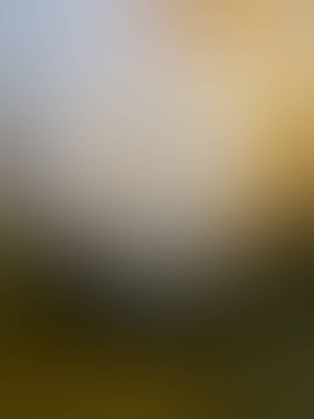 Temptingkay Hd Closeup Of My Cum Covered Tits You Really Can See The Texture Of His Load As