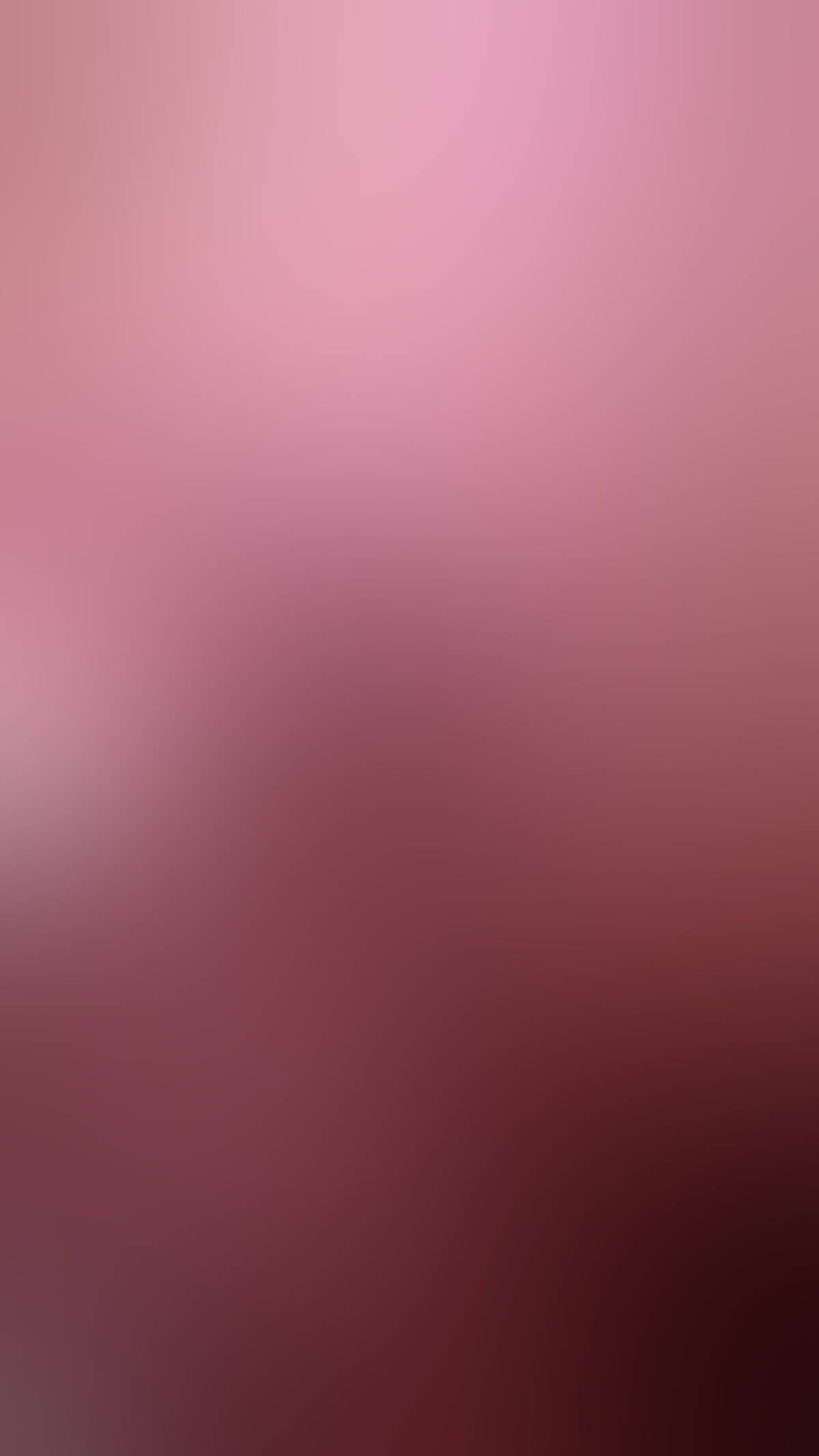 Master Bater55 Lick My Asshole Asshole Closeup Gay